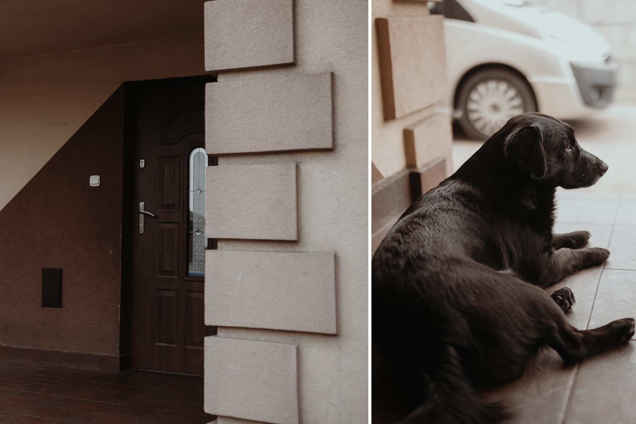 Wind Rose Photography - Fotografia Ślubna Kraków